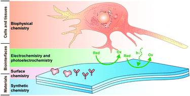 Recent advances in bioelectronics chemistry - Chemical Society Reviews ...