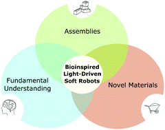 Bioinspired light-driven soft robots based on liquid crystal polymers ...