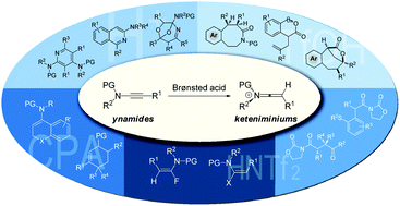 Brønsted acid-mediated reactions of ynamides - Chemical Society Reviews ...