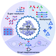 DNA nanotechnology-empowered nanoscopic imaging of biomolecules ...