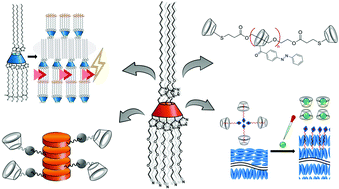 Principles and applications of cyclodextrin liquid crystals - Chemical ...