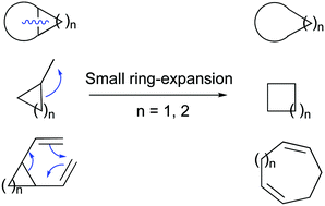 Small rings in the bigger picture: ring expansion of three- and four ...