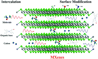 Additive-mediated intercalation and surface modification of MXenes ...