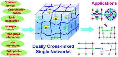 Dually cross-linked single networks: structures and applications ...