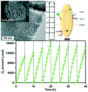Development of BiOI as an effective photocatalyst for oxygen evolution ...