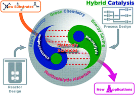 The various levels of integration of chemo- and bio-catalysis towards ...