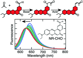 Fluorescence spectroscopy studies of crossed aldol reactions: a ...