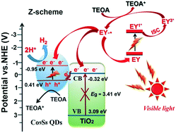 TiO2 as an interfacial-charge-transfer-bridge to construct eosin Y ...