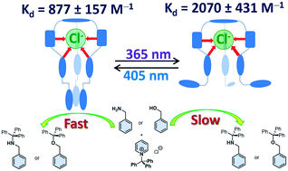 Temporal control in tritylation reactions through light-driven ...