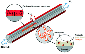 Ultra-low temperature water–gas shift reaction catalyzed by homogeneous ...