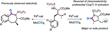 Mechanistic understanding enables chemoselective sp3 over sp2 C–H ...