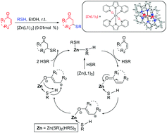 Zinc complexes supported by pyridine-N-oxide ligands: synthesis ...