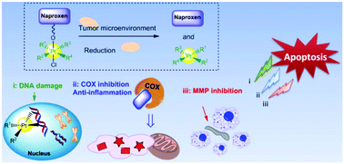 Naproxen platinum(iv) hybrids inhibiting cycloxygenases and matrix ...