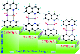 Metallophilic interactions: observations of the shortest ...