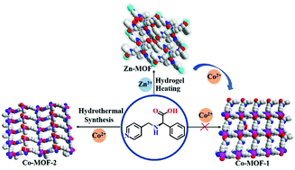 Crystal structures and the ferroelectric properties of homochiral metal ...