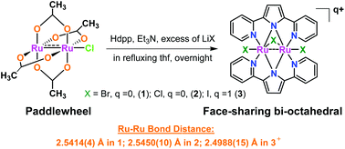 Structural, spectroscopic and electronic properties of a family of face ...