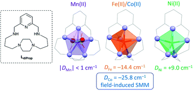 Late first-row transition metal complexes of a 17-membered piperazine ...