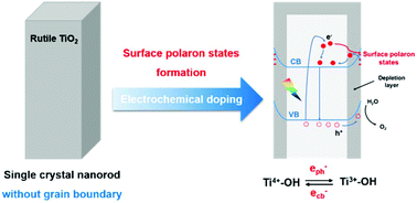 Surface polaron states on single-crystal rutile TiO2 nanorod arrays ...