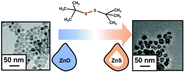 Nanoparticle transformation from ZnO to ZnS through anion exchange with ...