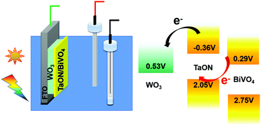 Solar water oxidation using TaON–BiVO4 photoanodes functionalized with ...