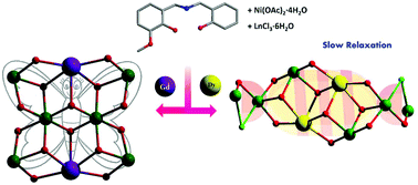 Hydroxido supported and differently networked octanuclear Ni6Ln2 [Ln ...