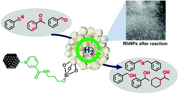 RhNPs supported on N-functionalized mesoporous silica: effect on ...