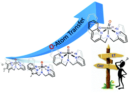 Mechanistic insight into oxygen atom transfer reactions by mononuclear ...