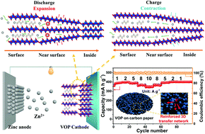 Shallow-layer pillaring of a conductive polymer in monolithic grains to ...