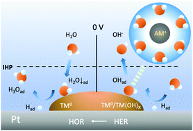 Interfacial water shuffling the intermediates of hydrogen oxidation and ...
