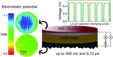 Flexible, low-cost and scalable, nanostructured conductive paper-based ...