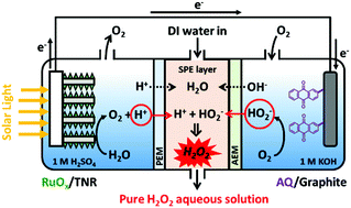 Solar photoelectrochemical synthesis of electrolyte-free H2O2 aqueous ...