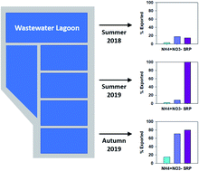 Fate of bioavailable nutrients released to a stream during episodic ...