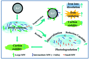 Nanoparticulate zero valent iron interaction with dissolved organic ...