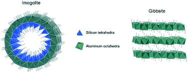 Curvature-induced hydrophobicity at imogolite–water interfaces ...