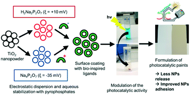 TiO2 nanoparticles coated with bio-inspired ligands for the safer-by ...