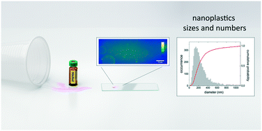 Nanoplastic sizes and numbers: quantification by single particle ...