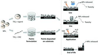 Towards the development of safer by design TiO2-based photocatalytic ...