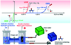Nickel borate with a 3D hierarchical structure as a robust and ...
