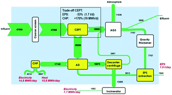 Exploring resource recovery potentials for the aerobic granular sludge ...