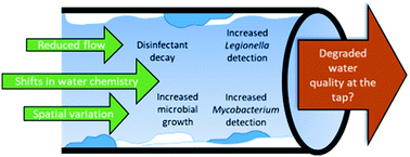 Bacteria In Drinking Water