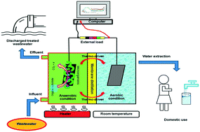 A promising bioelectrochemical reactor integrating membrane ...