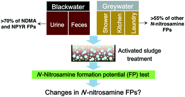 Source characterization and removal of N-nitrosamine precursors during ...