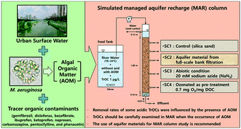 Influence of algal organic matter on the attenuation of selected trace ...