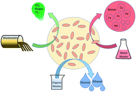 Encapsulation technology to improve biological resource recovery ...