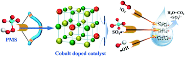 Utilizing cobalt-doped materials as heterogeneous catalysts to activate ...