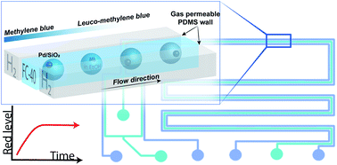 Single catalyst particle diagnostics in a microreactor for performing ...