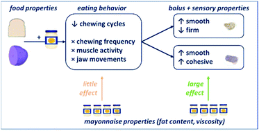 Sauce it up: influence of condiment properties on oral processing ...