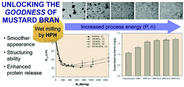 Mechanical cell disruption of mustard bran suspensions for improved ...