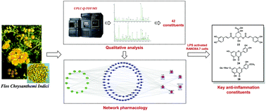 Anti-inflammatory chemical constituents of Flos Chrysanthemi Indici ...