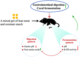 Gastrointestinal digestion and cecal fermentation of a mixed gel of ...